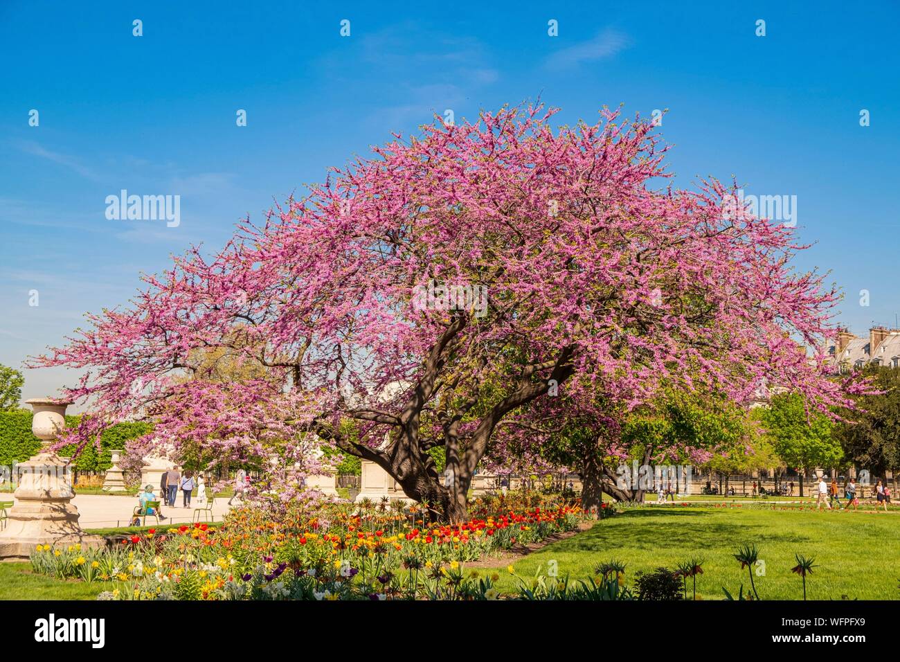 France, Paris, the Tuileries Garden Stock Photo - Alamy