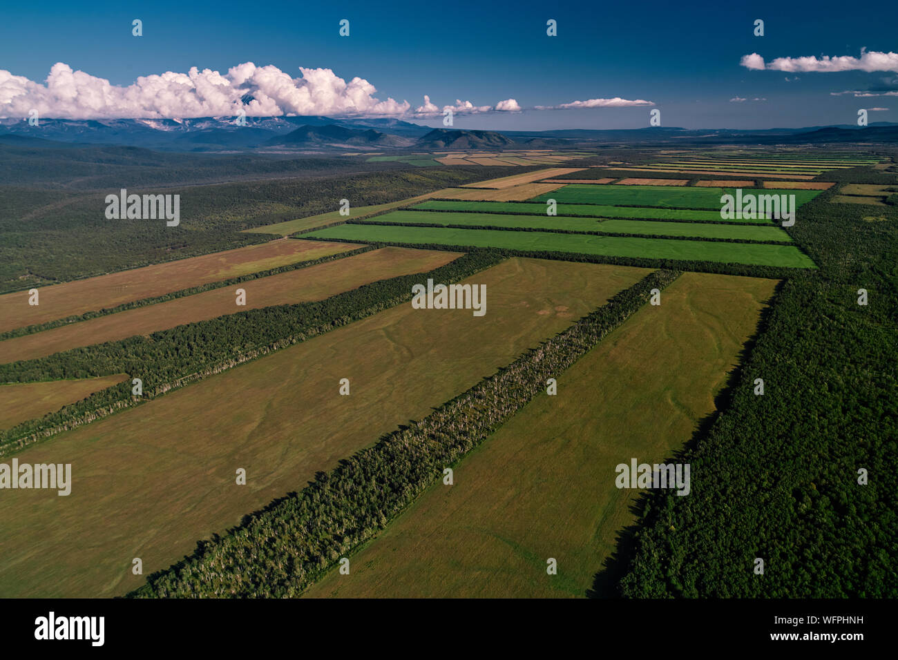 Aerial view of farm fields valley in the Kamchatka in Russia ...