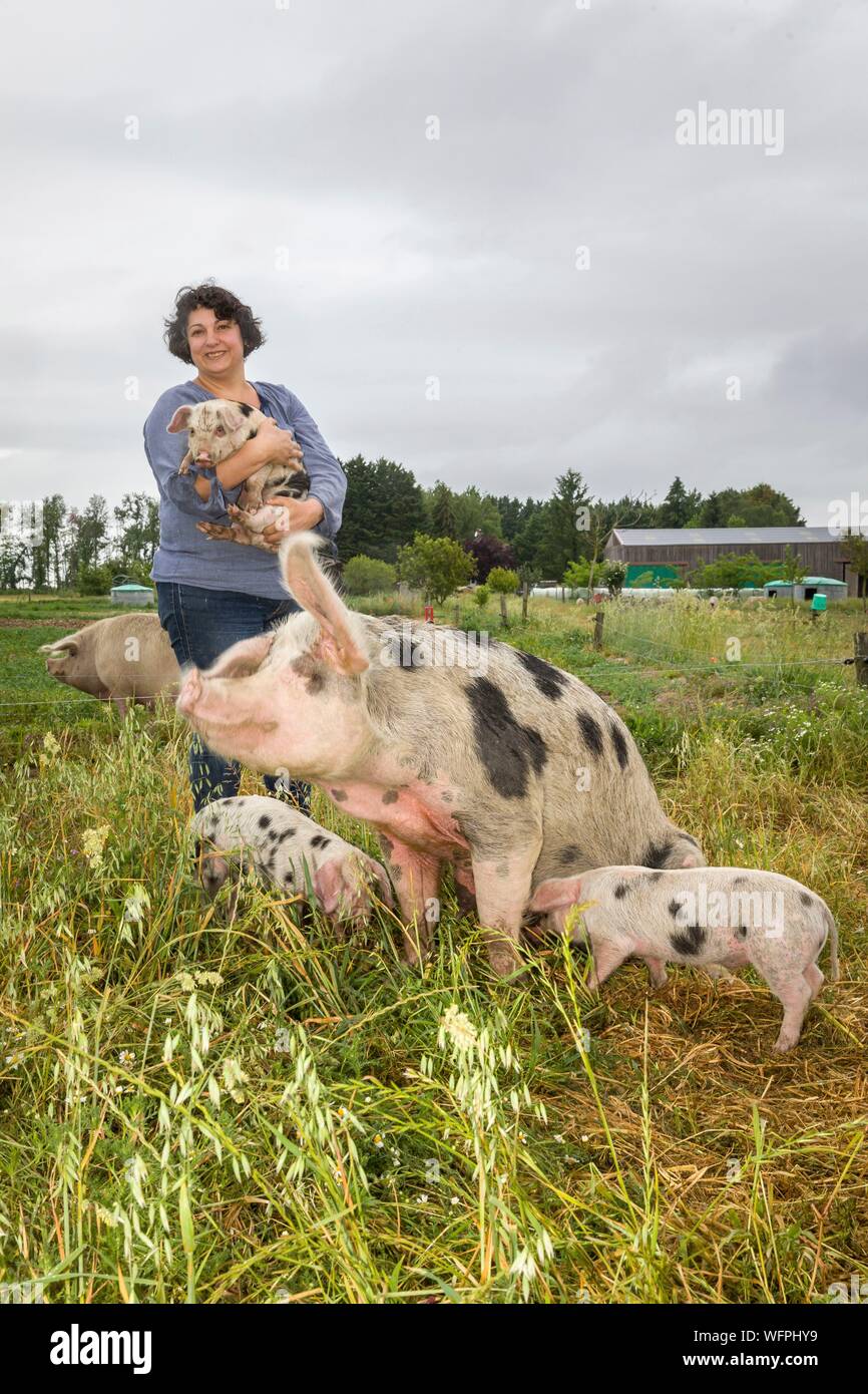 France, Indre et Loire,Courcoué, organic outdoor hog farming Stock ...