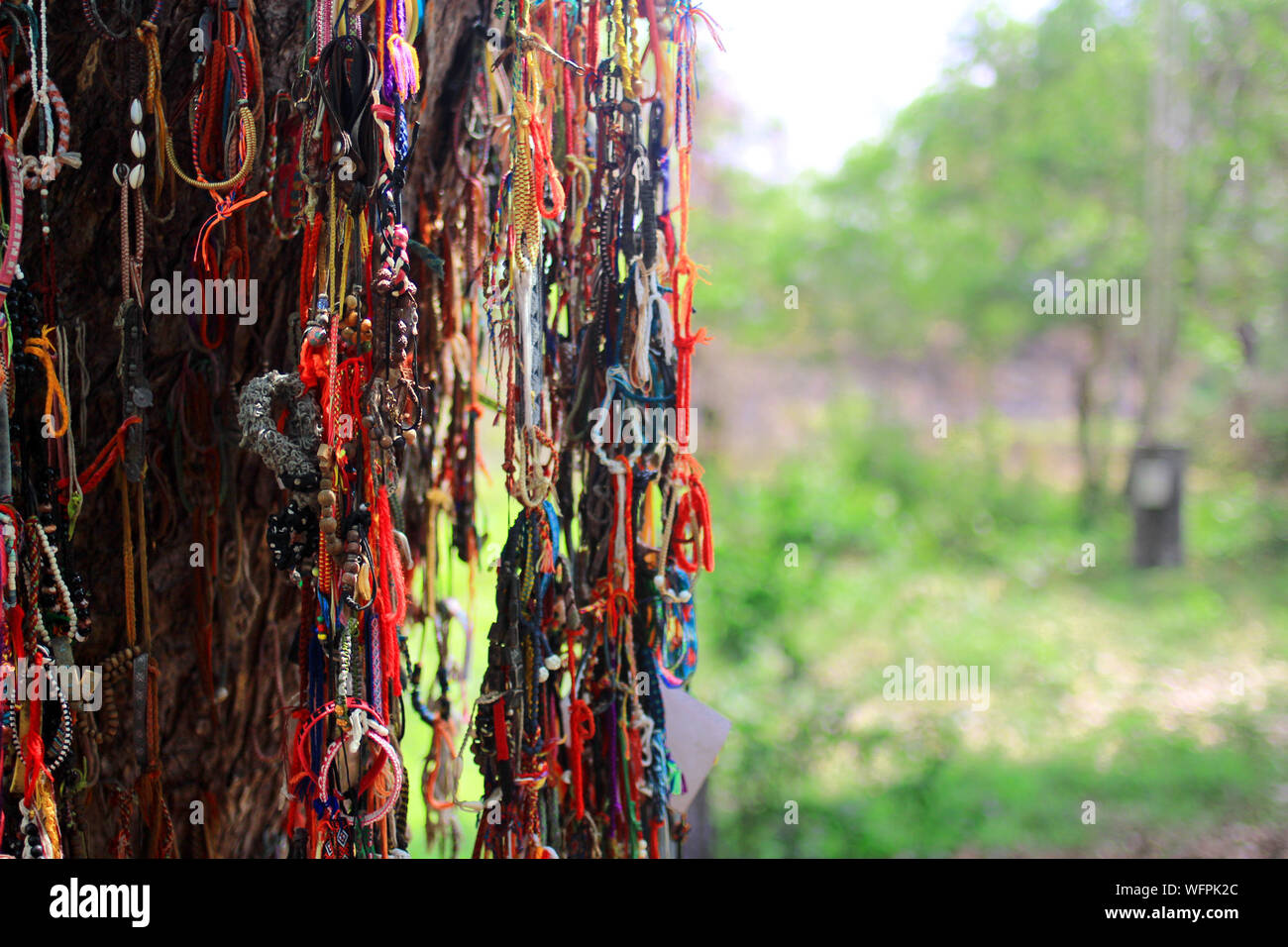 Killing Fields Mass Grave, Phnom Penh, Cambodia. The killing tree which ...