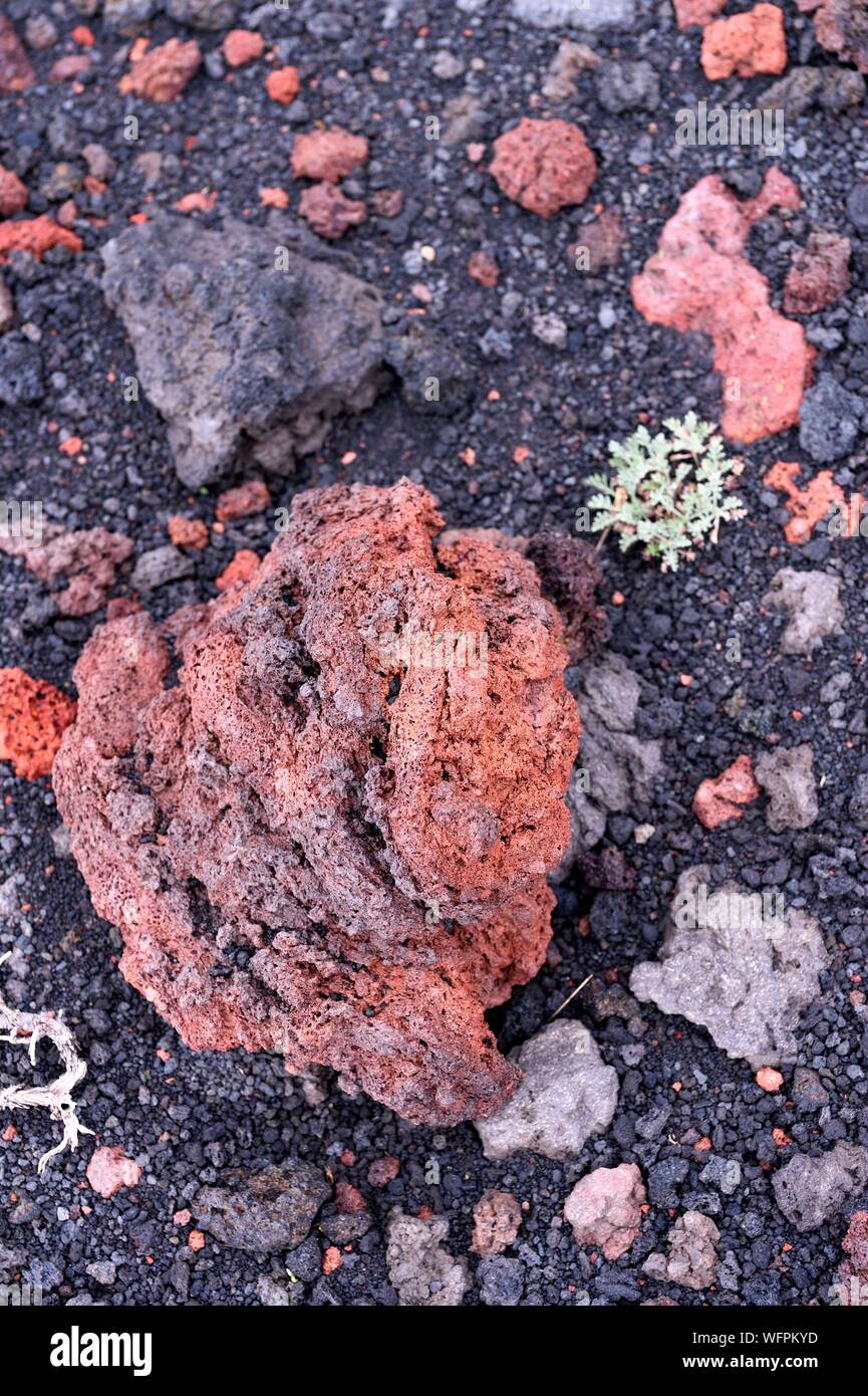Italy, Sicily, Etna Regional Nature Park, Mount Etna, listed as World ...
