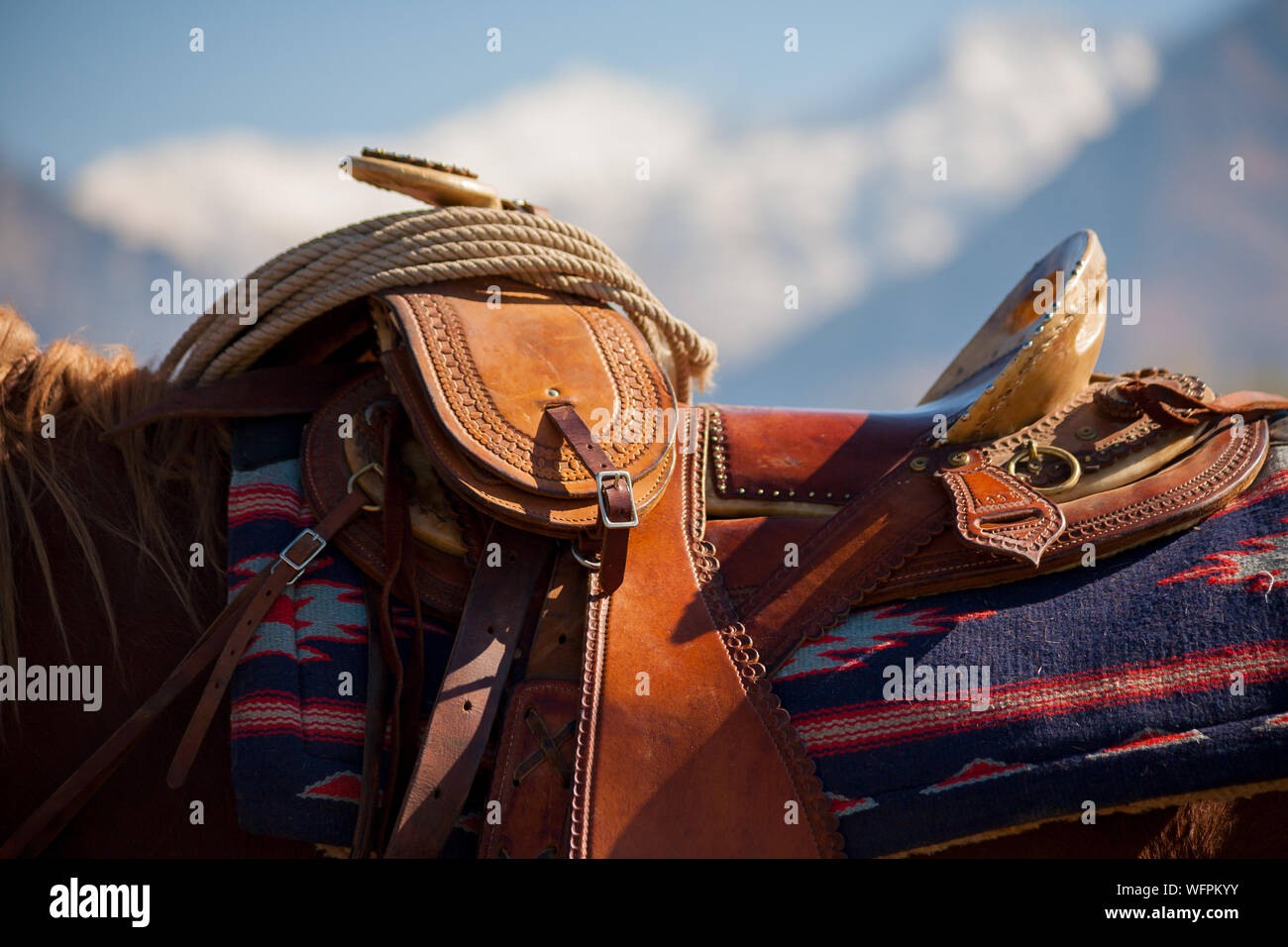 Lasso saddle hi-res stock photography and images - Alamy