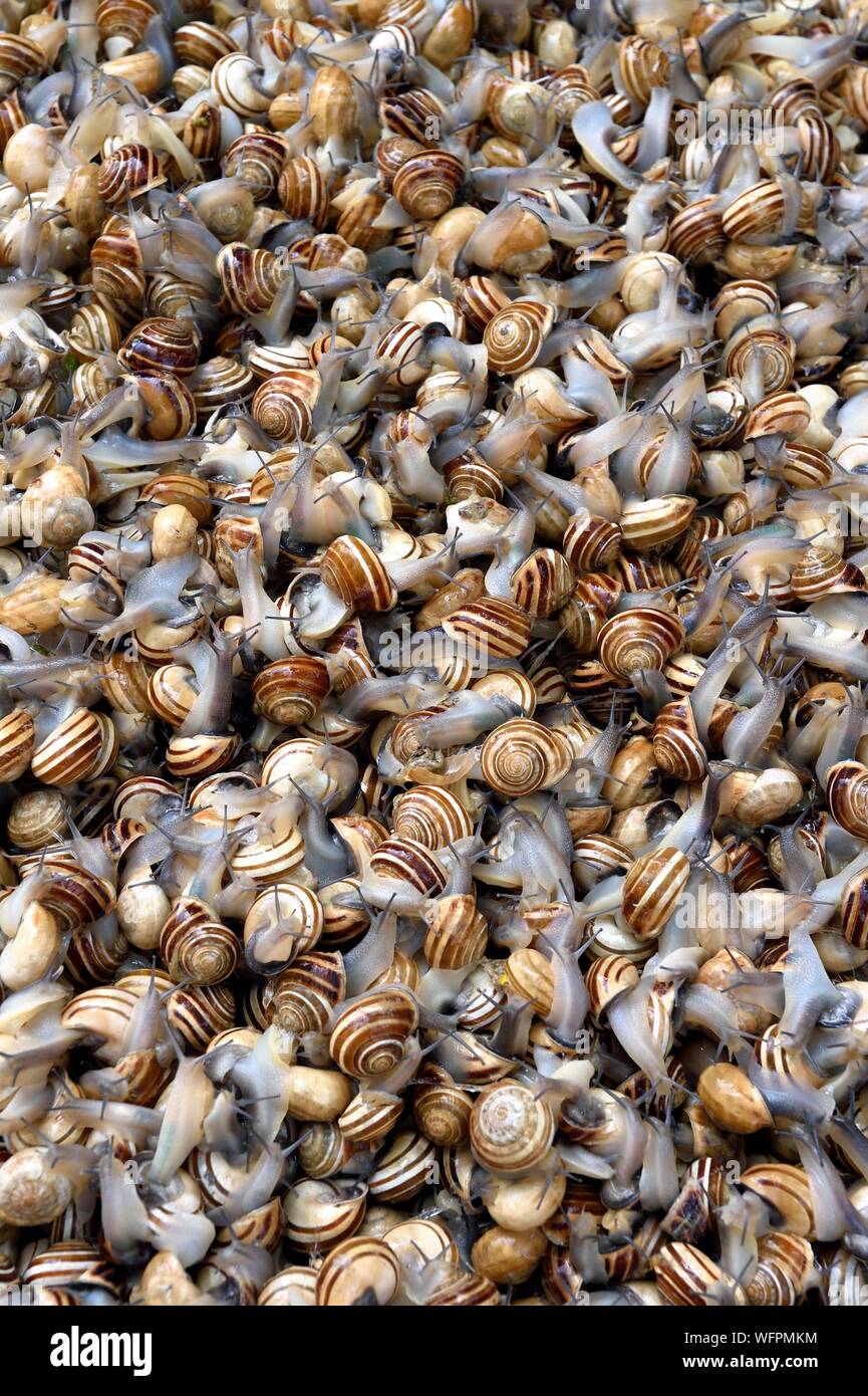 Food market italy hi-res stock photography and images - Alamy