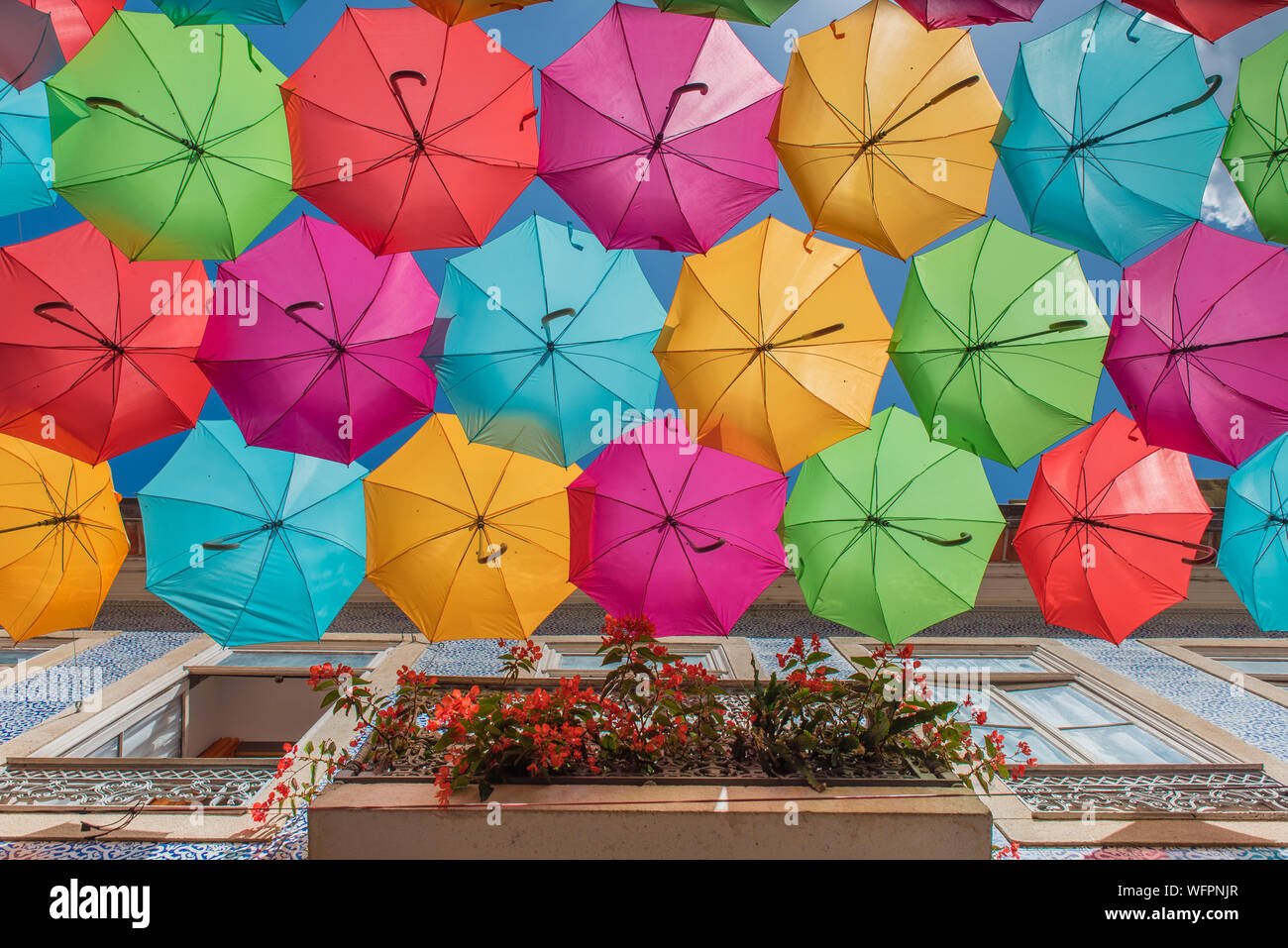 Street with colorful umbrellas in Agueda, Aveiro - Portugal Stock Photo ...
