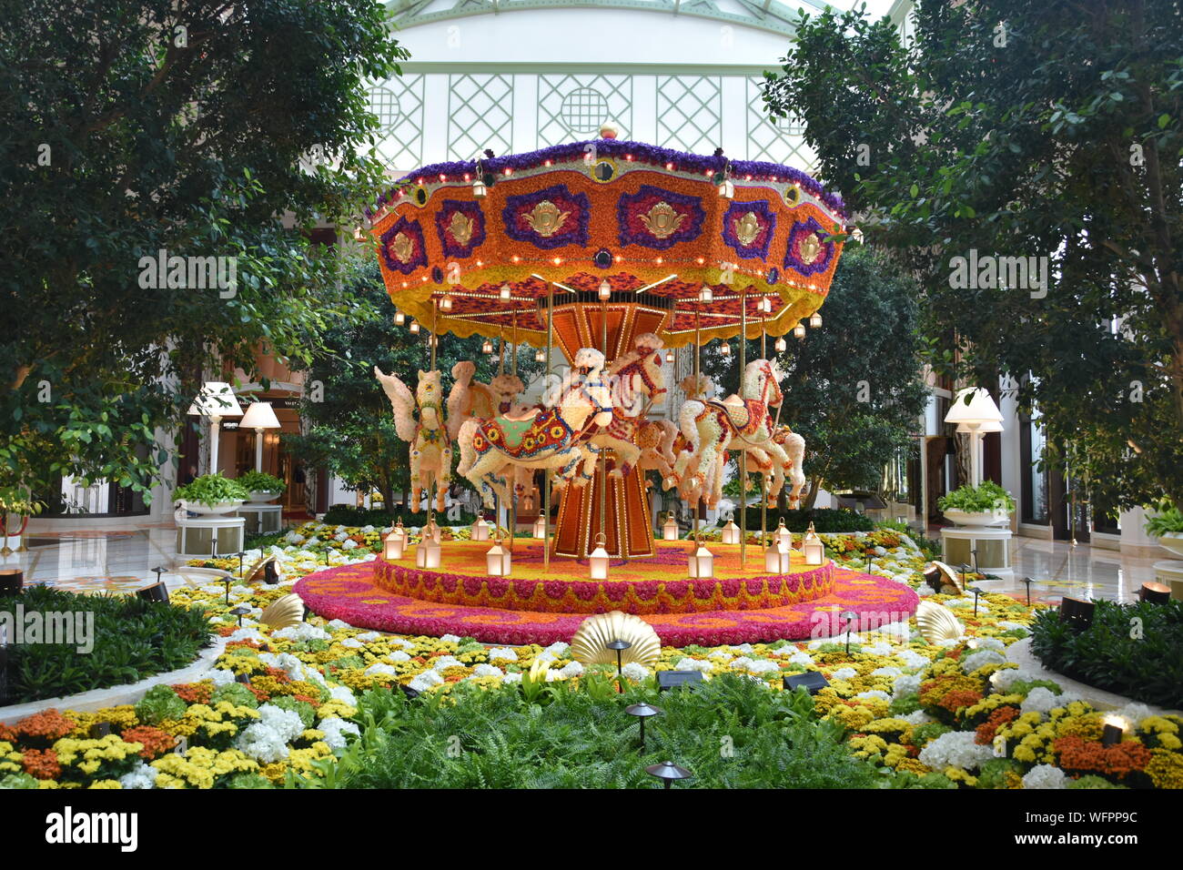 Popeye icon hi-res stock photography and images - Alamy