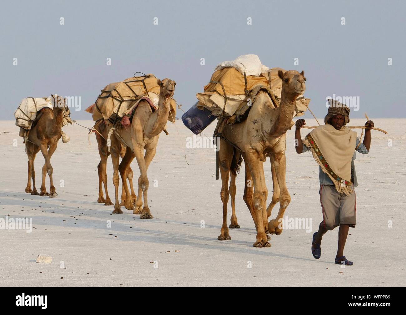 Afar ethiopia nomad hi-res stock photography and images - Alamy