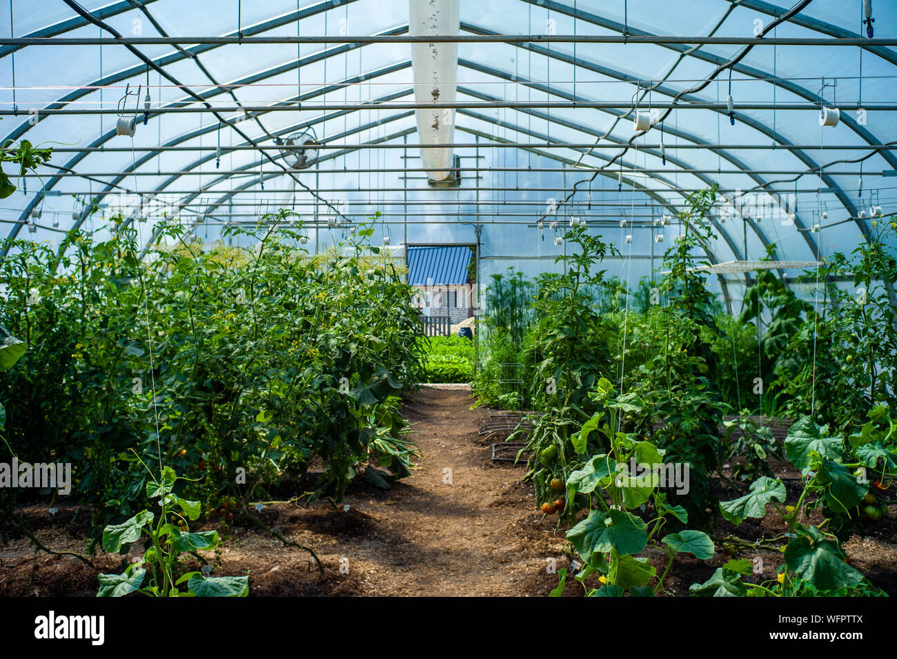 Greenhouse Interior High Resolution Stock Photography and Images - Alamy
