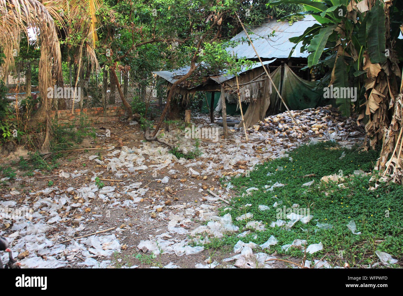 plastic waste on the side of the road in southeast asia. pollution ...