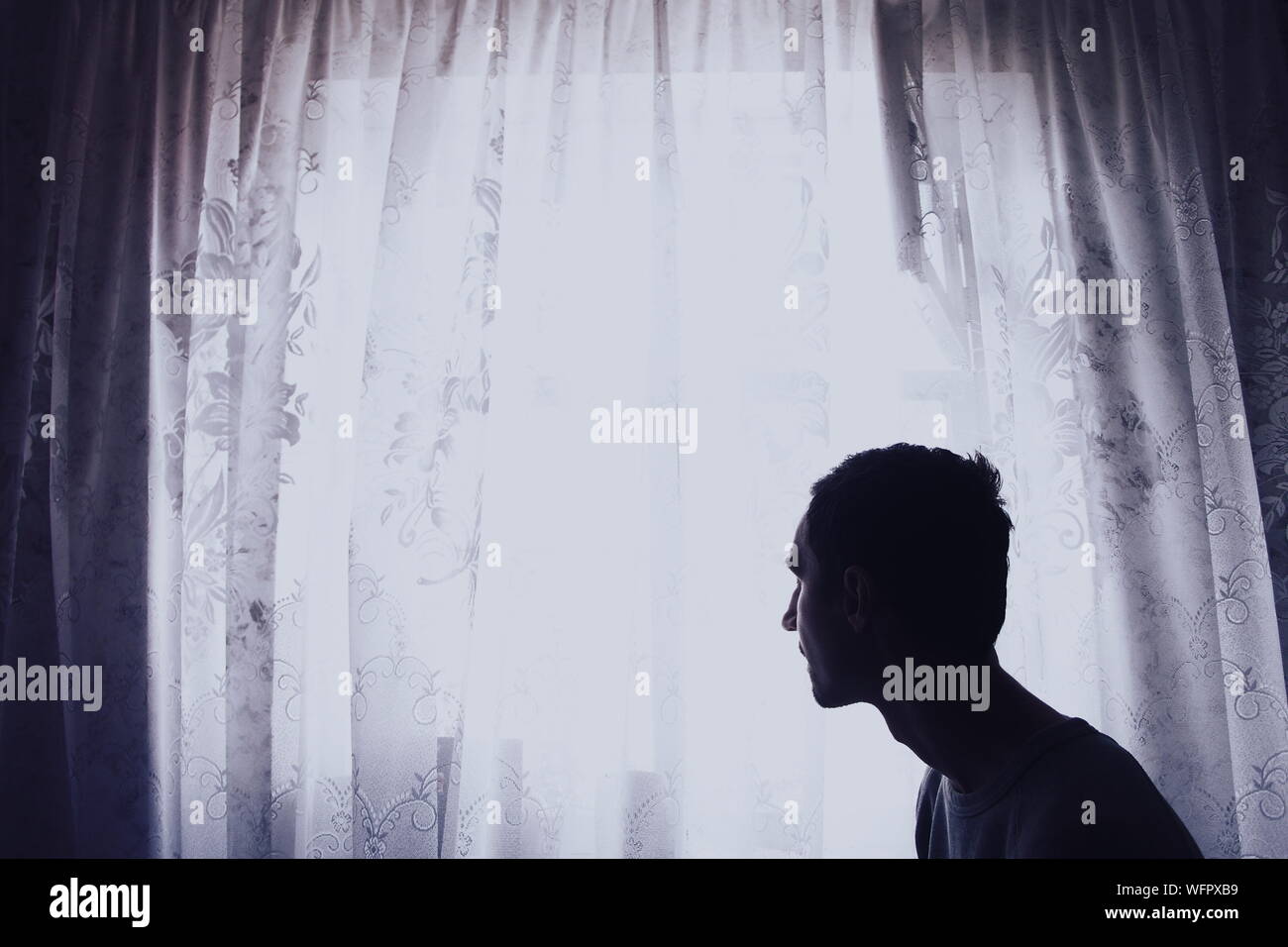 Man Hanging Curtain High Resolution Stock Photography and Images - Alamy