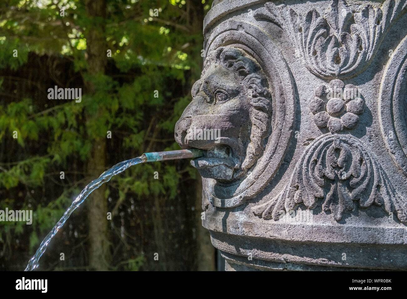 France, Puy de Dome, Volvic, fountain of La Reine, Parc Naturel ...