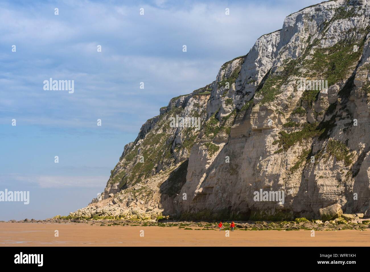 France, Pas de Calais, Opal Coast, Great Site of the two Caps, Escalles ...