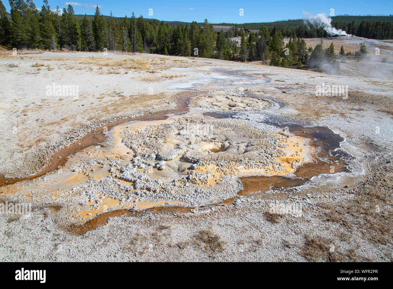 Upper geyser basin in the Yellowstone National park, USA Stock Photo ...