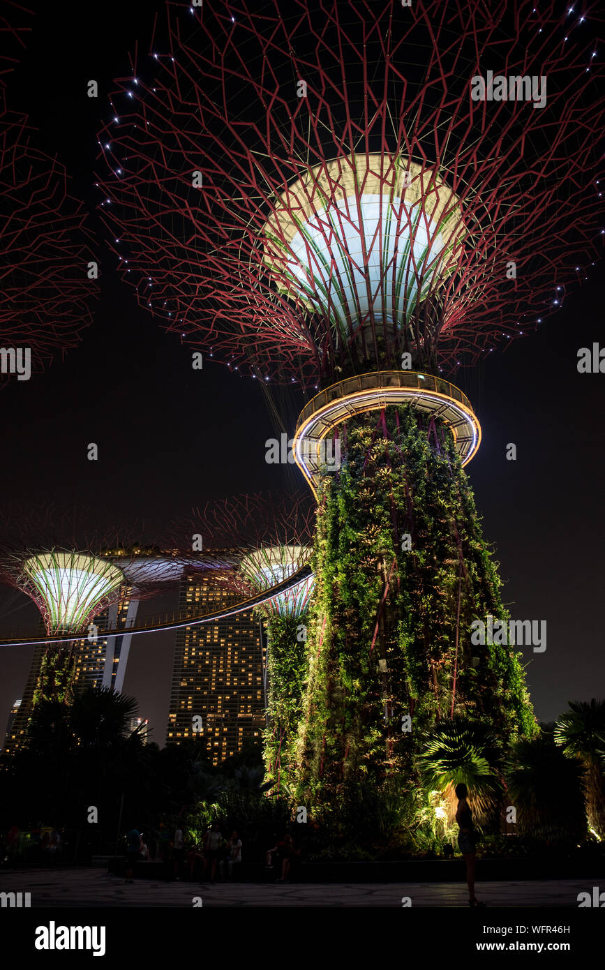 Supertree light show in Gardens by the Bay Singapore Stock Photo - Alamy