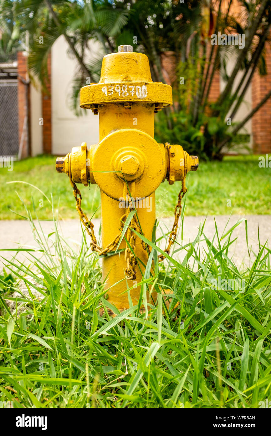 Yellow Fire Hydrant in the Middle of a Garden Stock Photo - Alamy