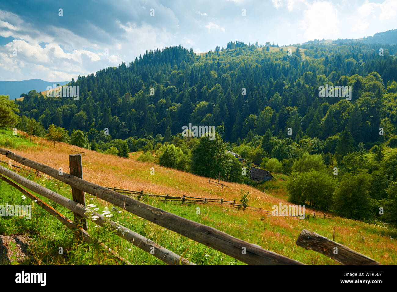 Beautiful summer landscape - countryside on hills with spruces, cloudy ...