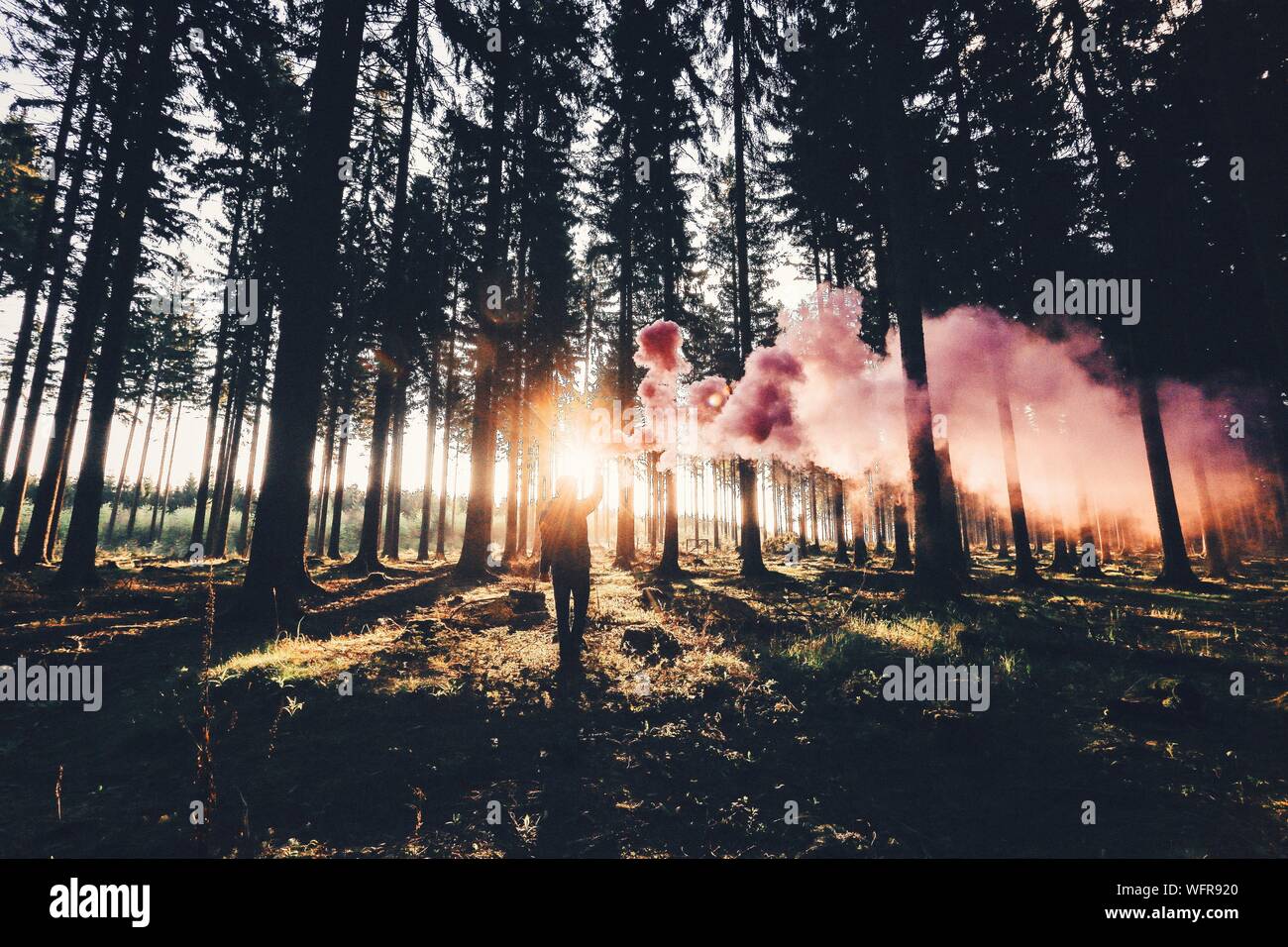 Rear view man lens flare hi-res stock photography and images - Alamy