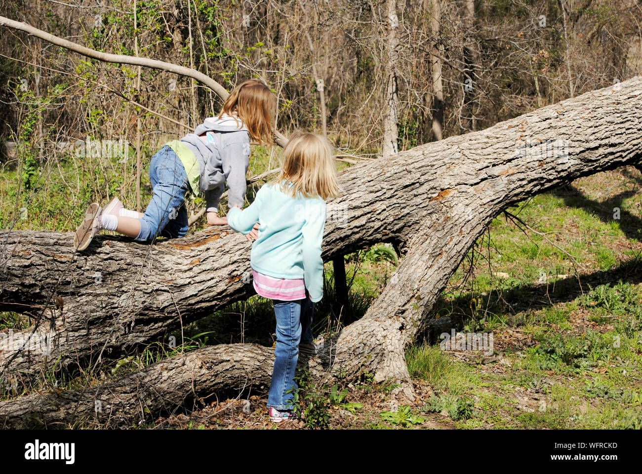 Girls climbing tree hi-res stock photography and images - Alamy