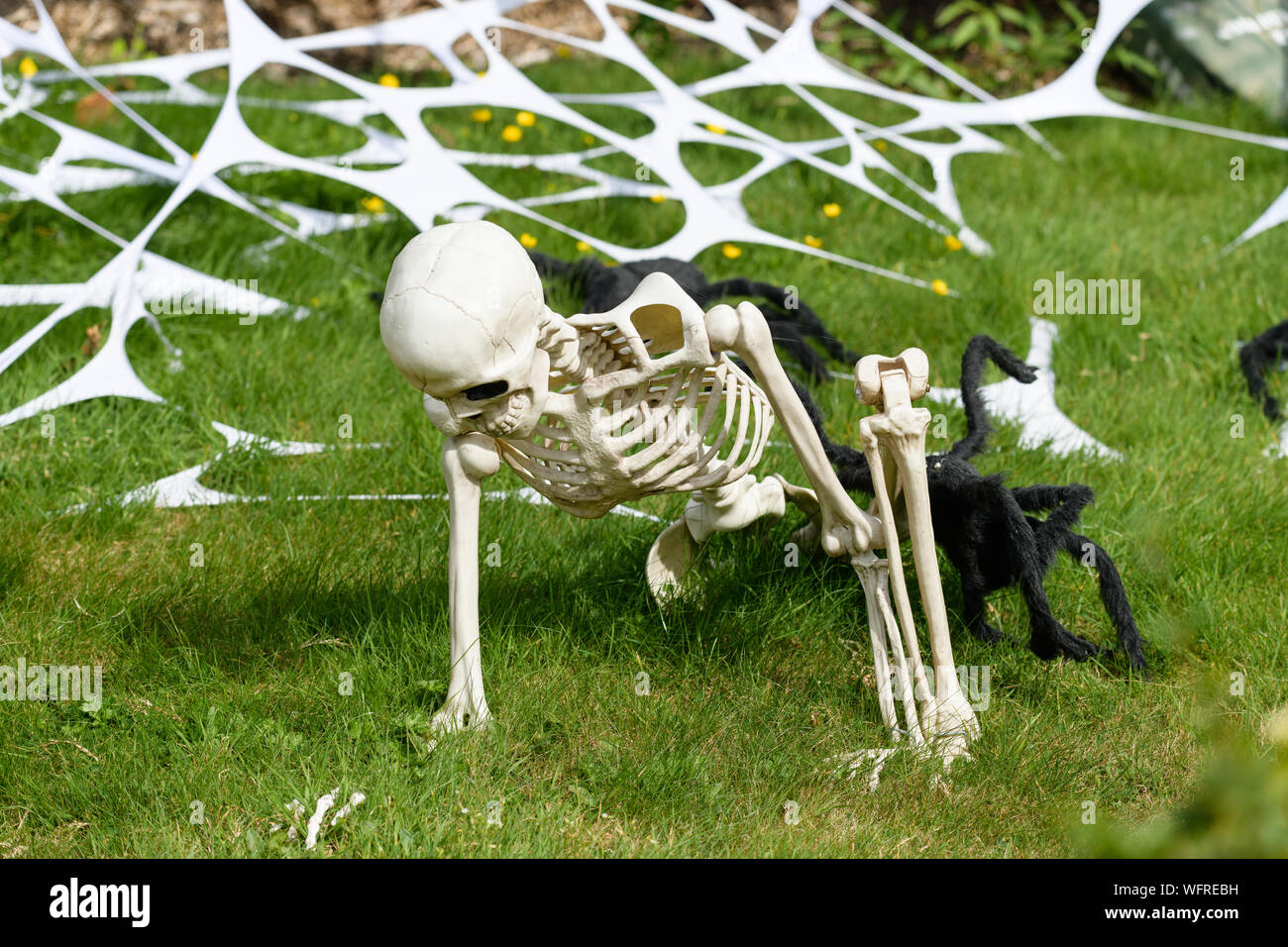 Joke sleleton hi-res stock photography and images - Alamy