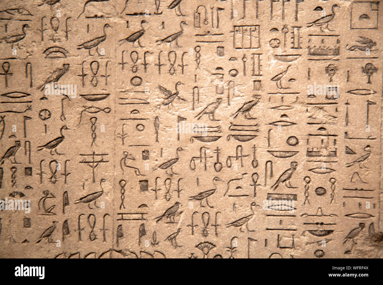 Egyptian hieroglyphs on the wall Stock Photo - Alamy
