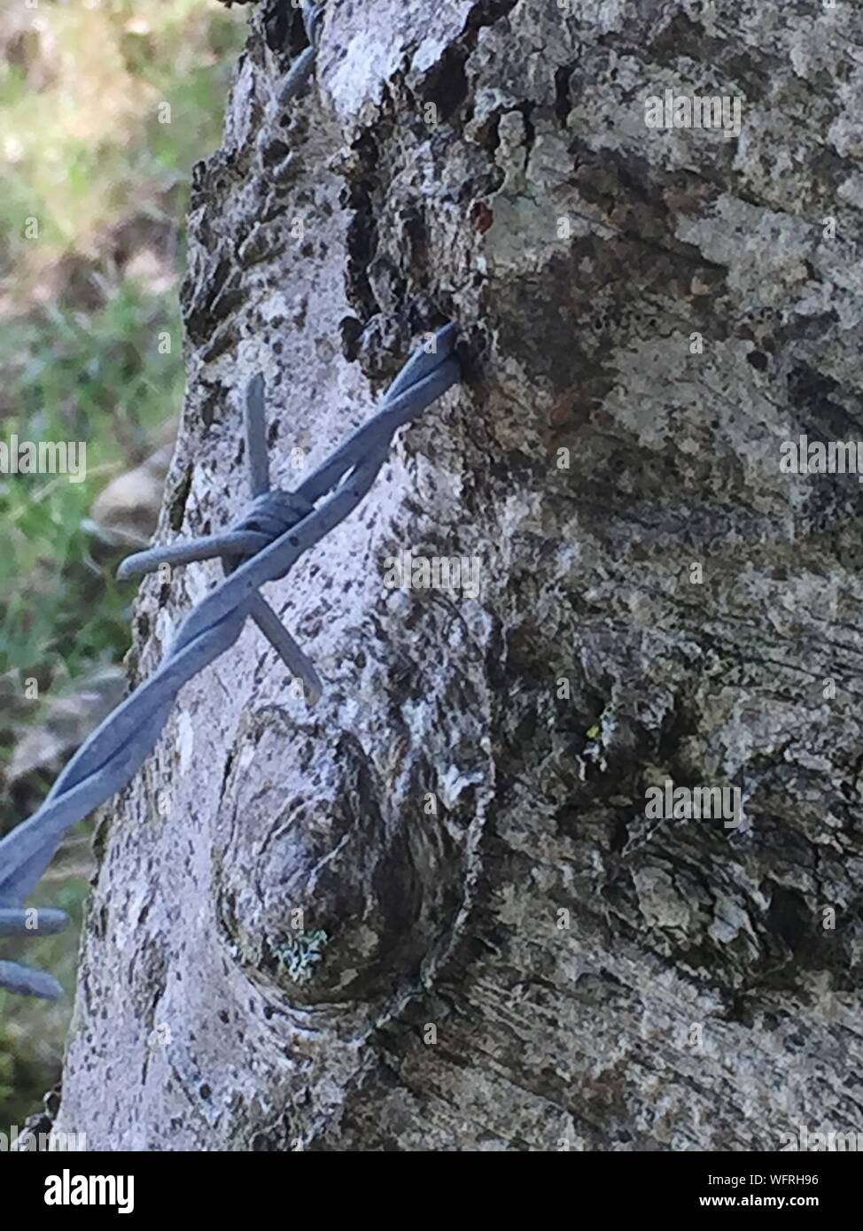 Wire attached hi-res stock photography and images - Alamy