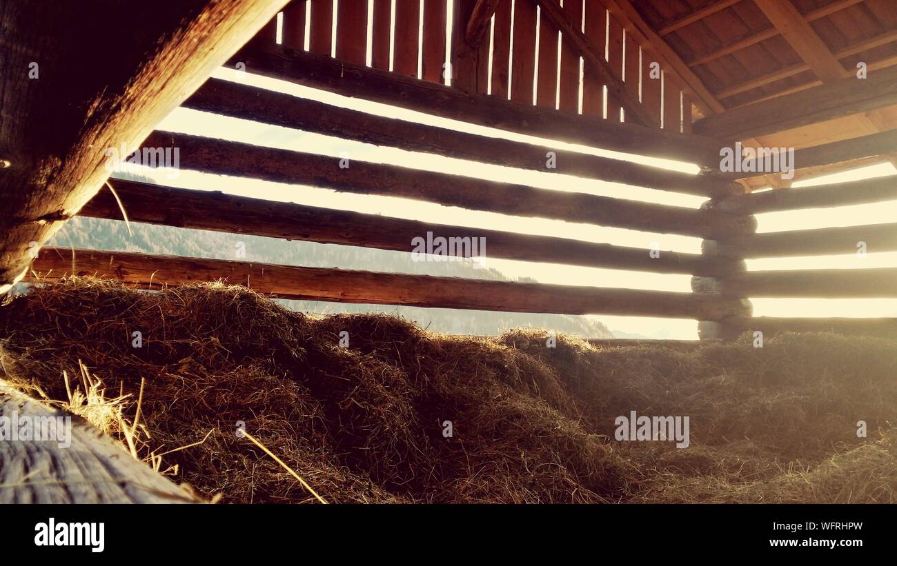 Hay house hi-res stock photography and images - Alamy