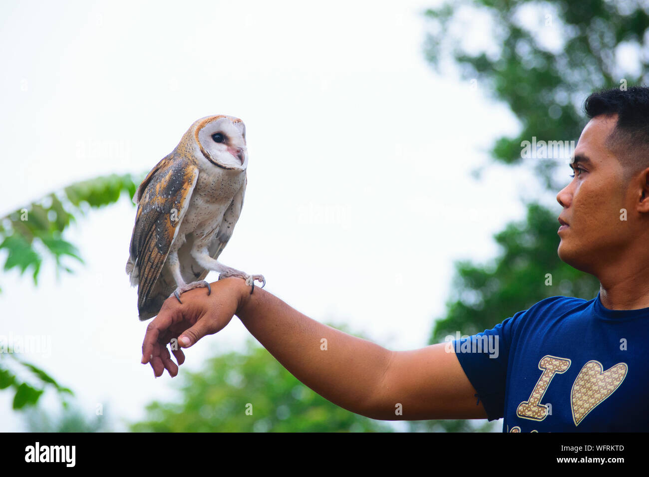 Man With Owl Stock Photos & Man With Owl Stock Images - Alamy