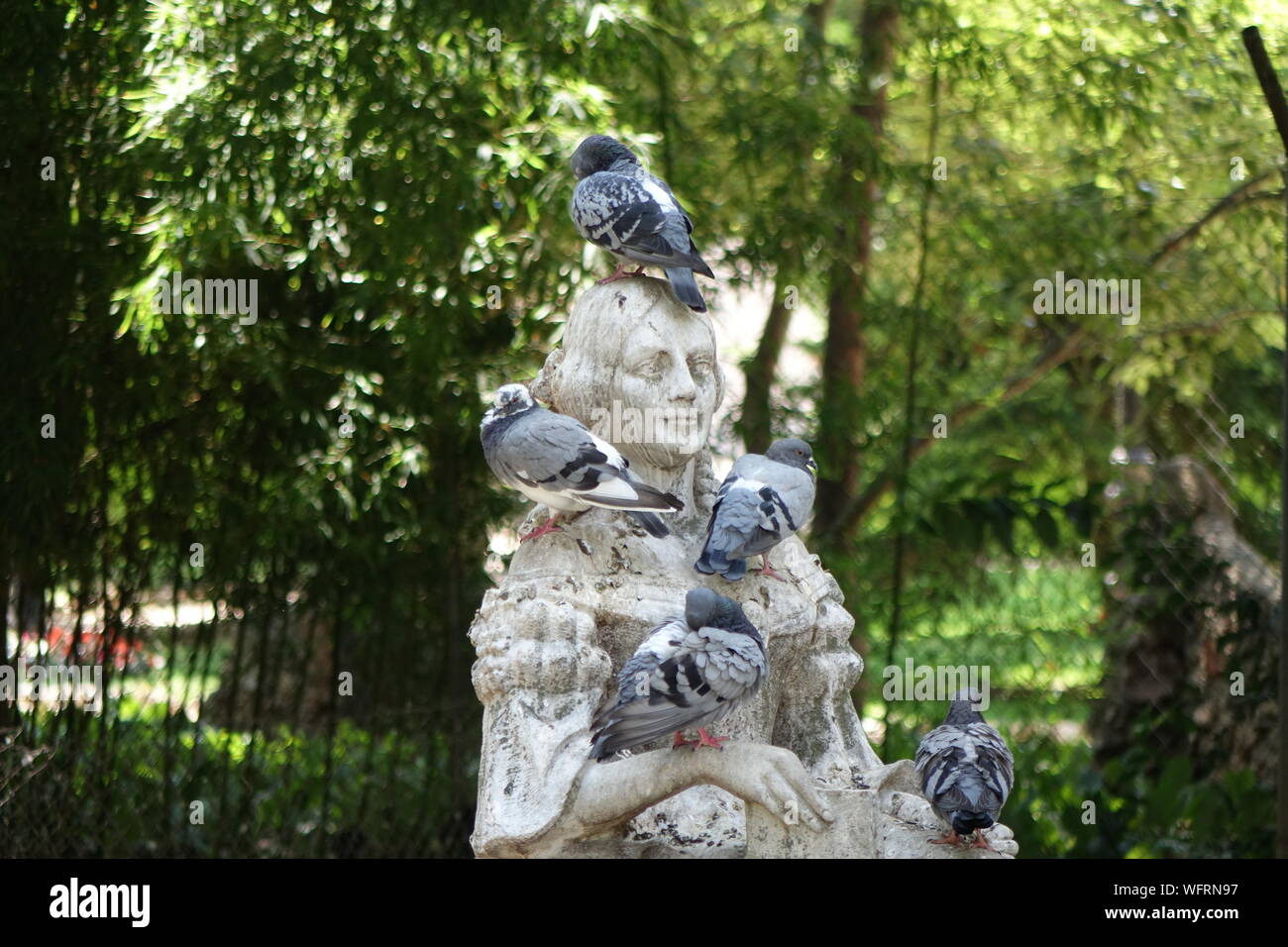 Birds statue hi-res stock photography and images - Alamy