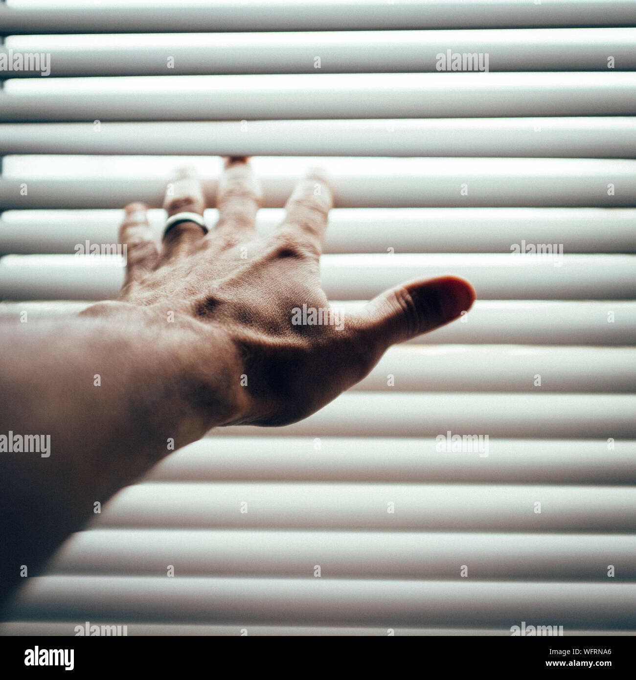 Hand Opening Blinds High Resolution Stock Photography and Images - Alamy