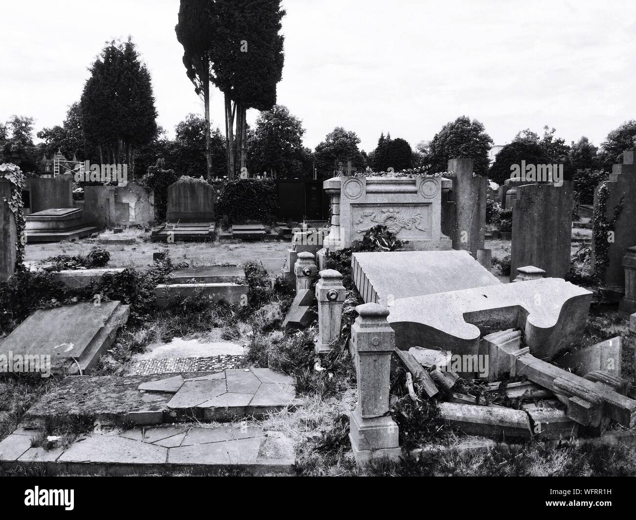 Old Growth Cemetery High Resolution Stock Photography and Images - Alamy