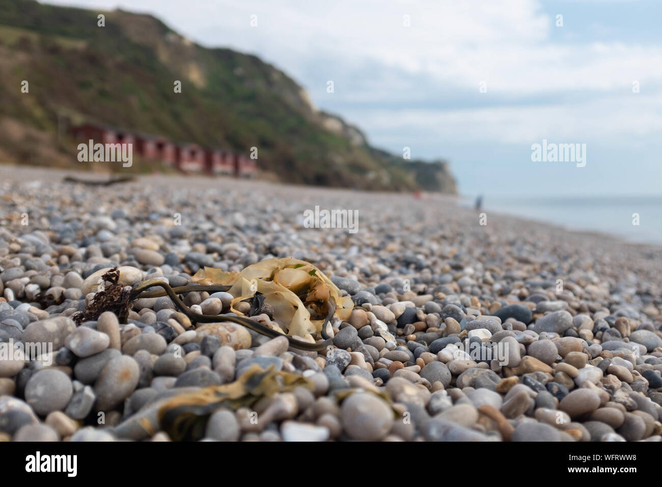Branscombe beach devon hi-res stock photography and images - Alamy