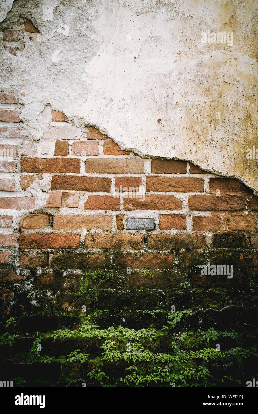 Moss brick wall hi-res stock photography and images - Alamy