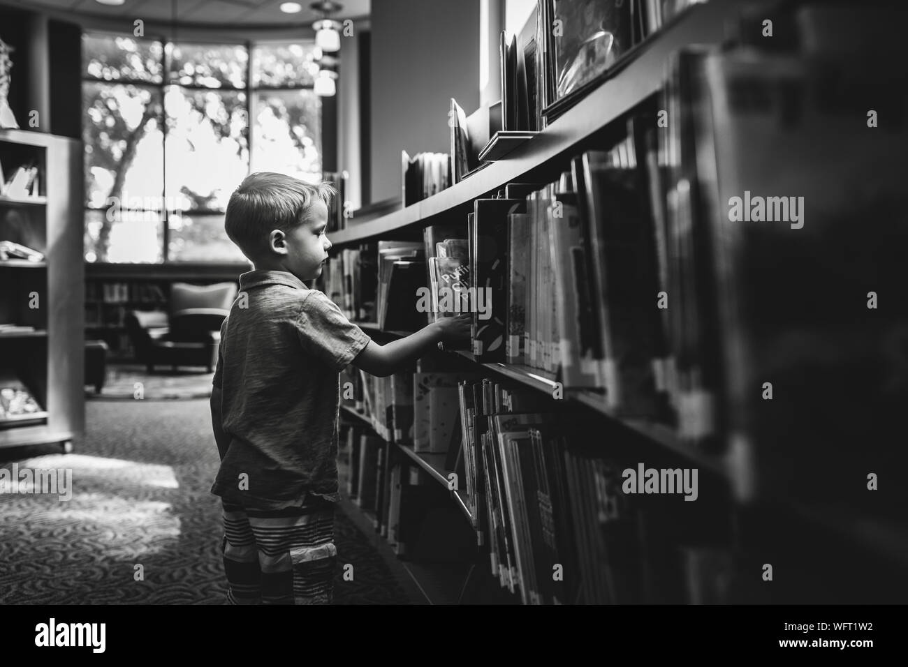 Boy in library hi-res stock photography and images - Alamy