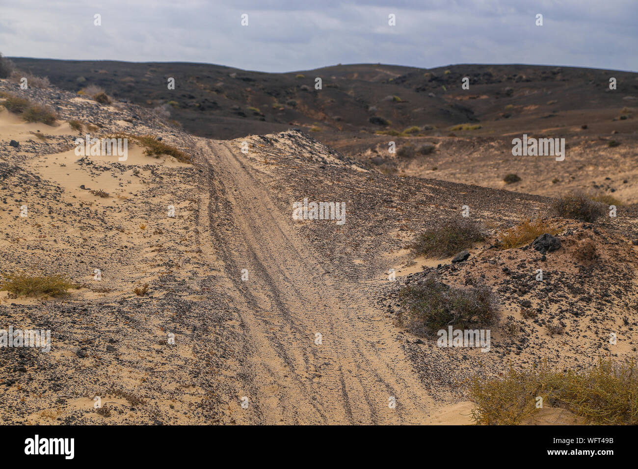Tracks dirt road hi-res stock photography and images - Alamy