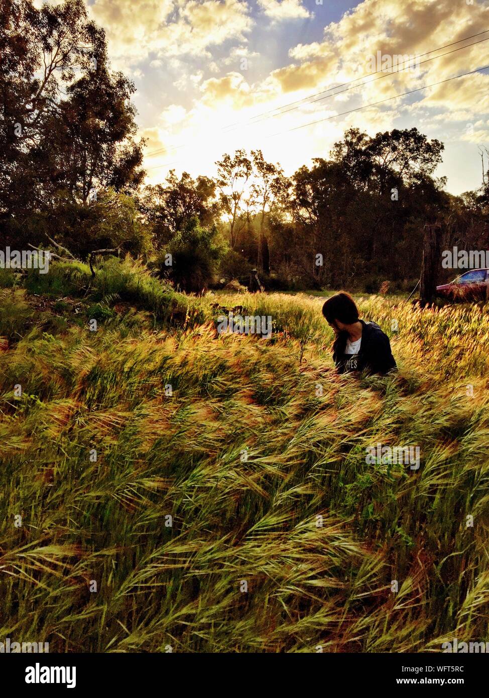Standing with crops hi-res stock photography and images - Alamy