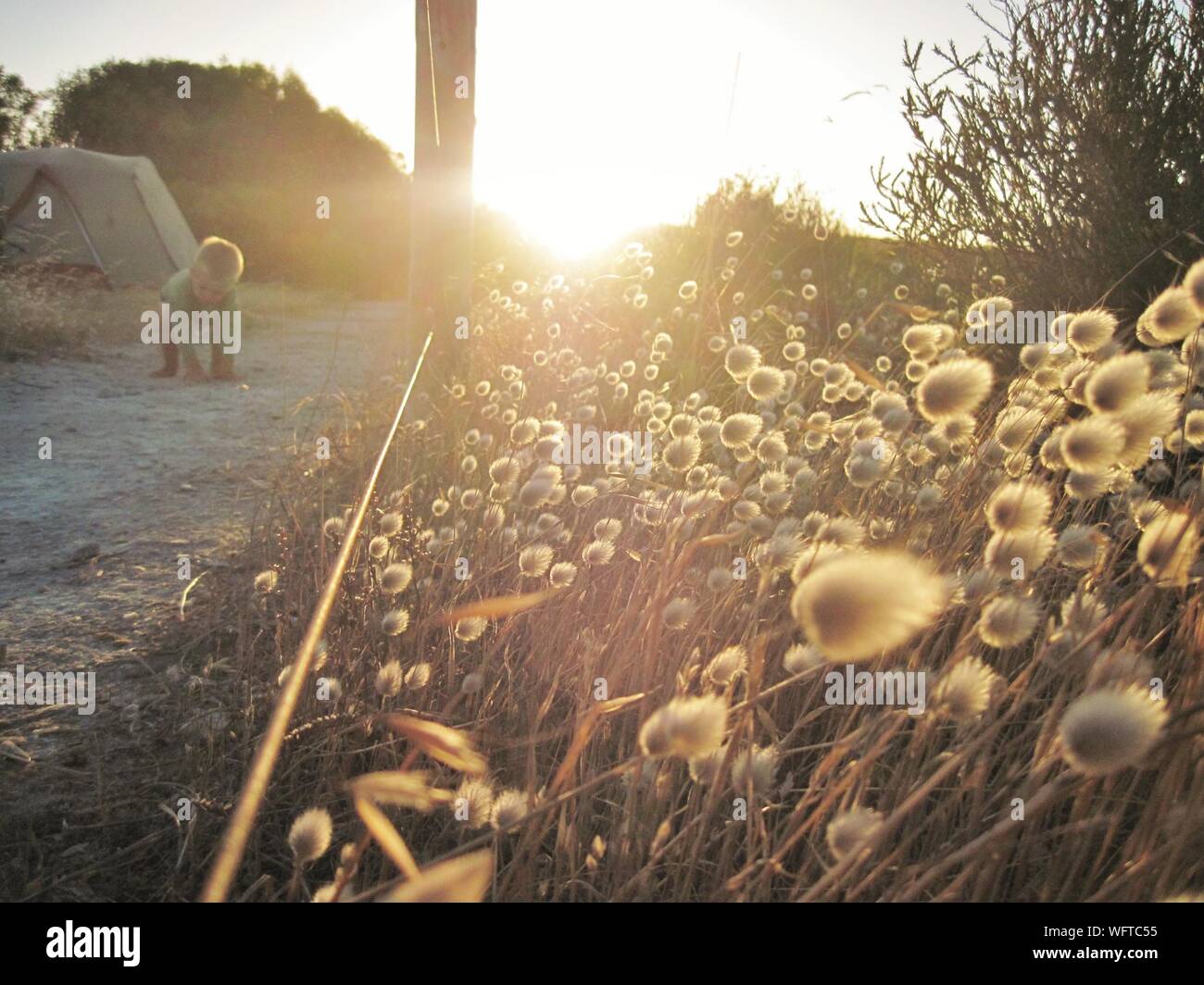 Playing Field Road High Resolution Stock Photography and Images - Alamy