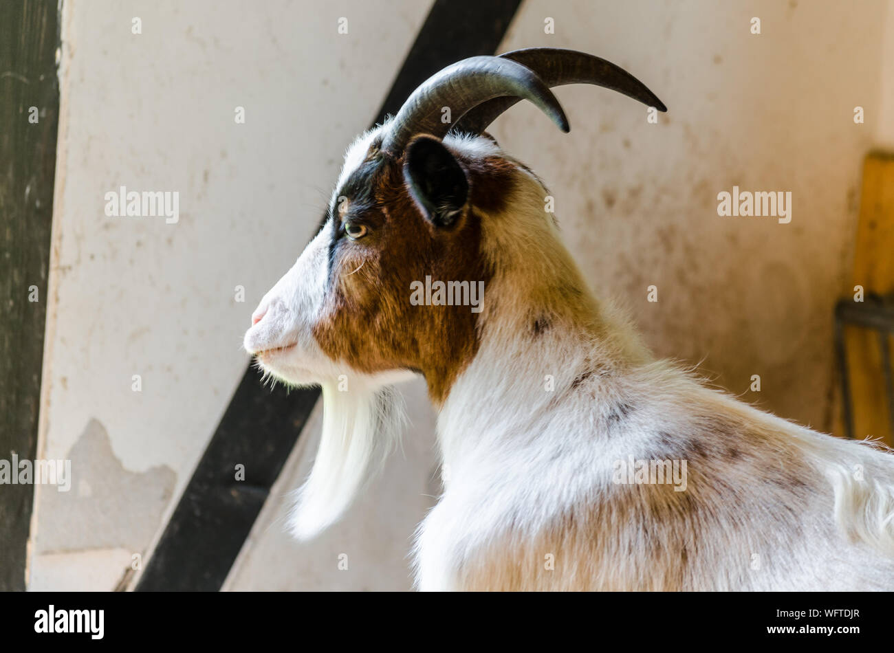 Side view male hi-res stock photography and images - Alamy