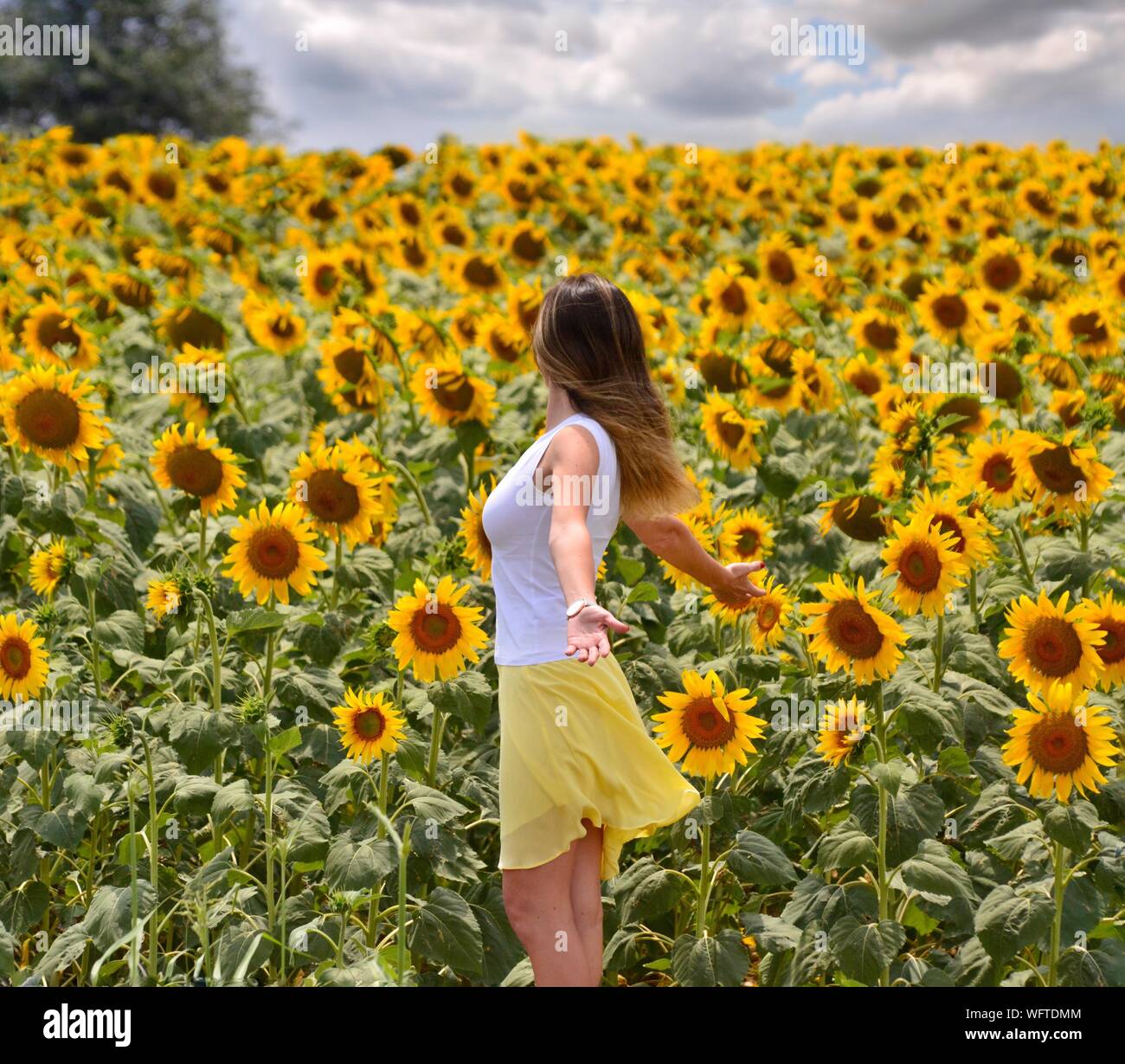 Girl standing in sunflower field hi-res stock photography and images ...