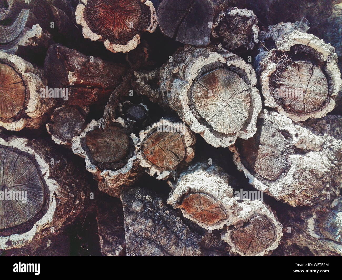 Stack logs backgrounds hi-res stock photography and images - Alamy
