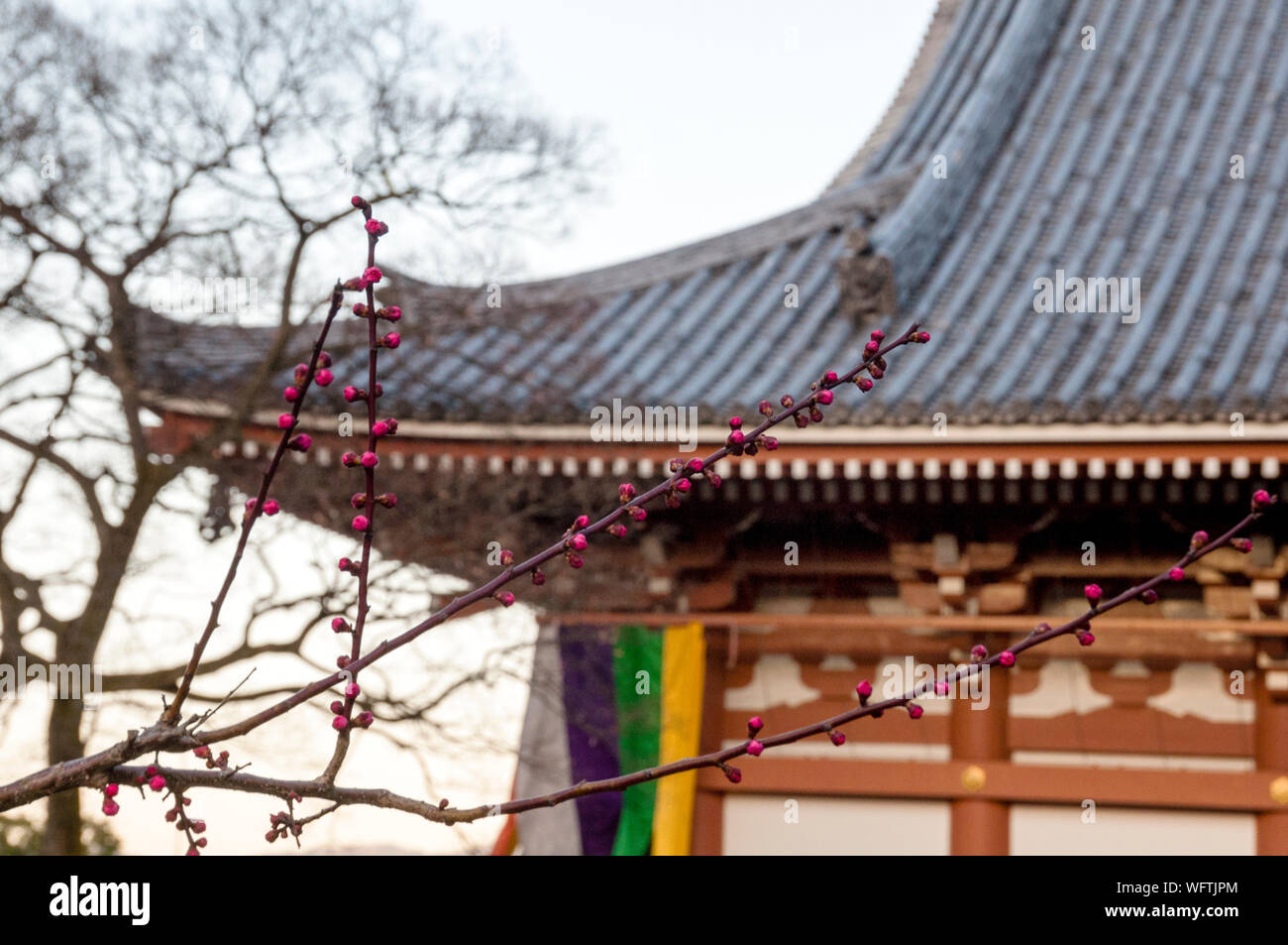 Irimoya, the East Asian hip-and-gable roof of a temple in Kyoto, Japan ...