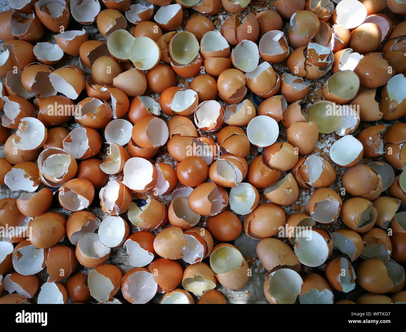 Eggshells High Resolution Stock Photography and Images - Alamy