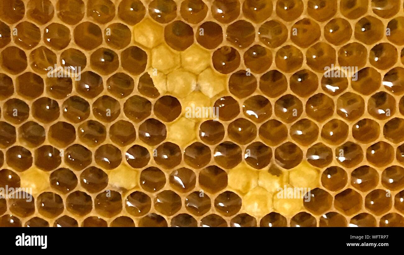 Beehive shape hi-res stock photography and images - Alamy
