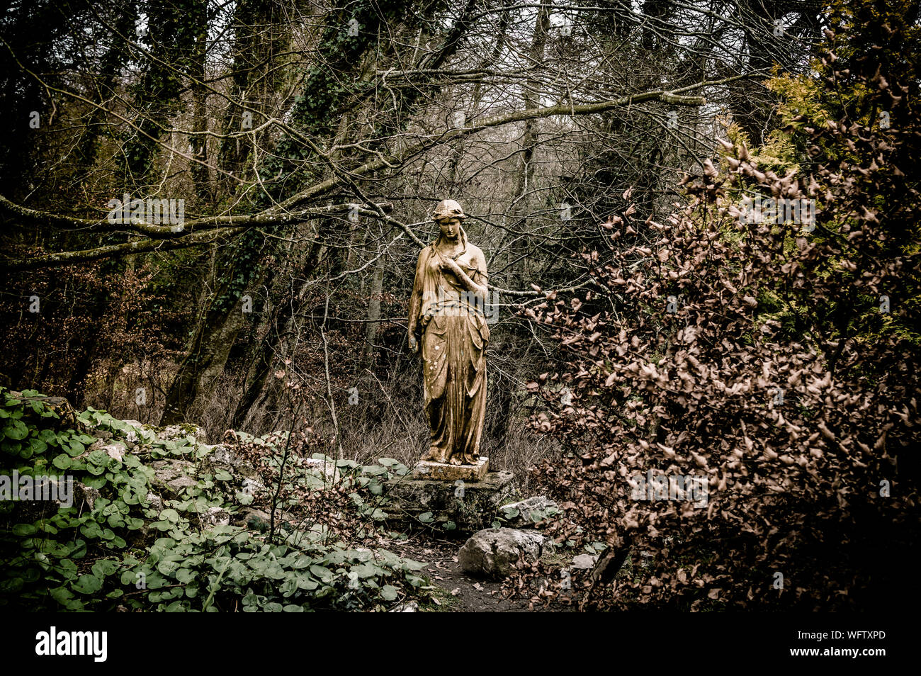 Statue Forest High Resolution Stock Photography and Images - Alamy