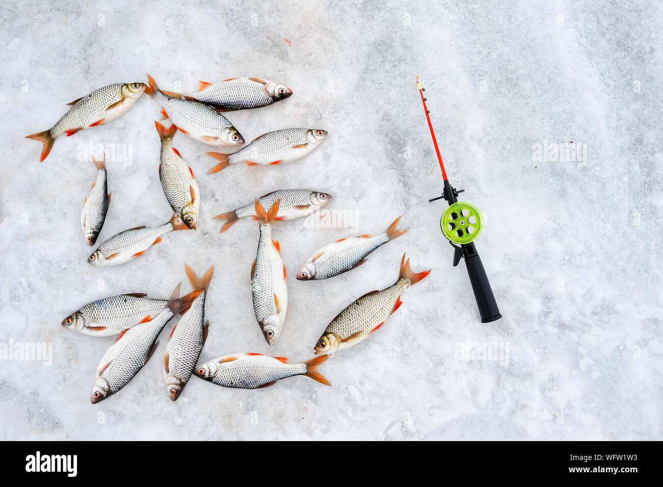 Rudd pond hi-res stock photography and images - Alamy