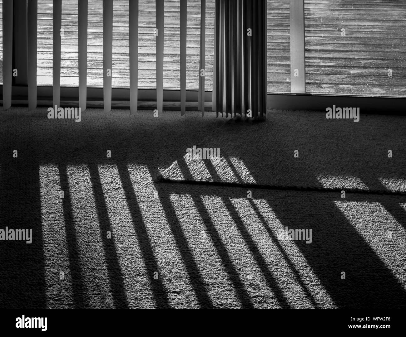 Blinds shadow Black and White Stock Photos & Images - Alamy