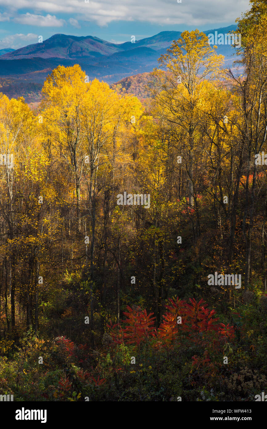 View from Maloney Point, Smoky Mountains, Tennessee Stock Photo - Alamy