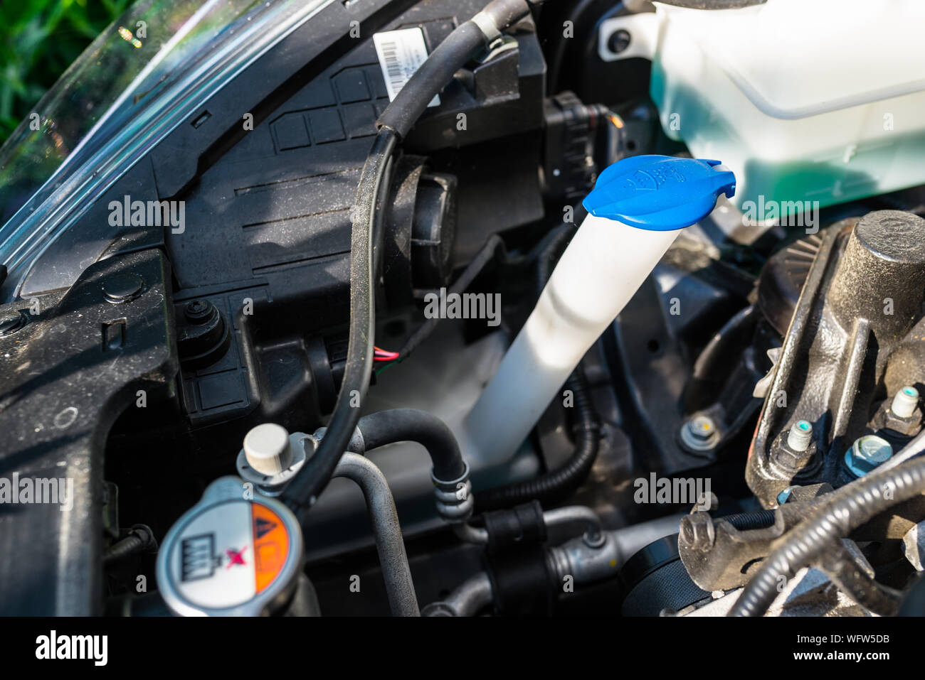 Windshield washer fluid reservoir with blue stopper, located in the ...