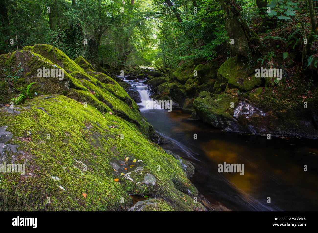 River Erme, North of Ivybridge, Devon Stock Photo - Alamy