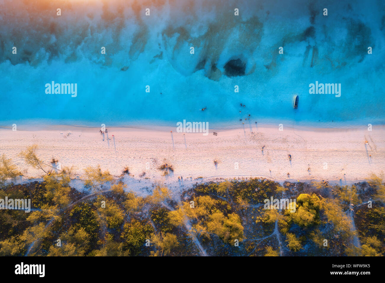 Palm trees sea on sandy hi-res stock photography and images - Alamy