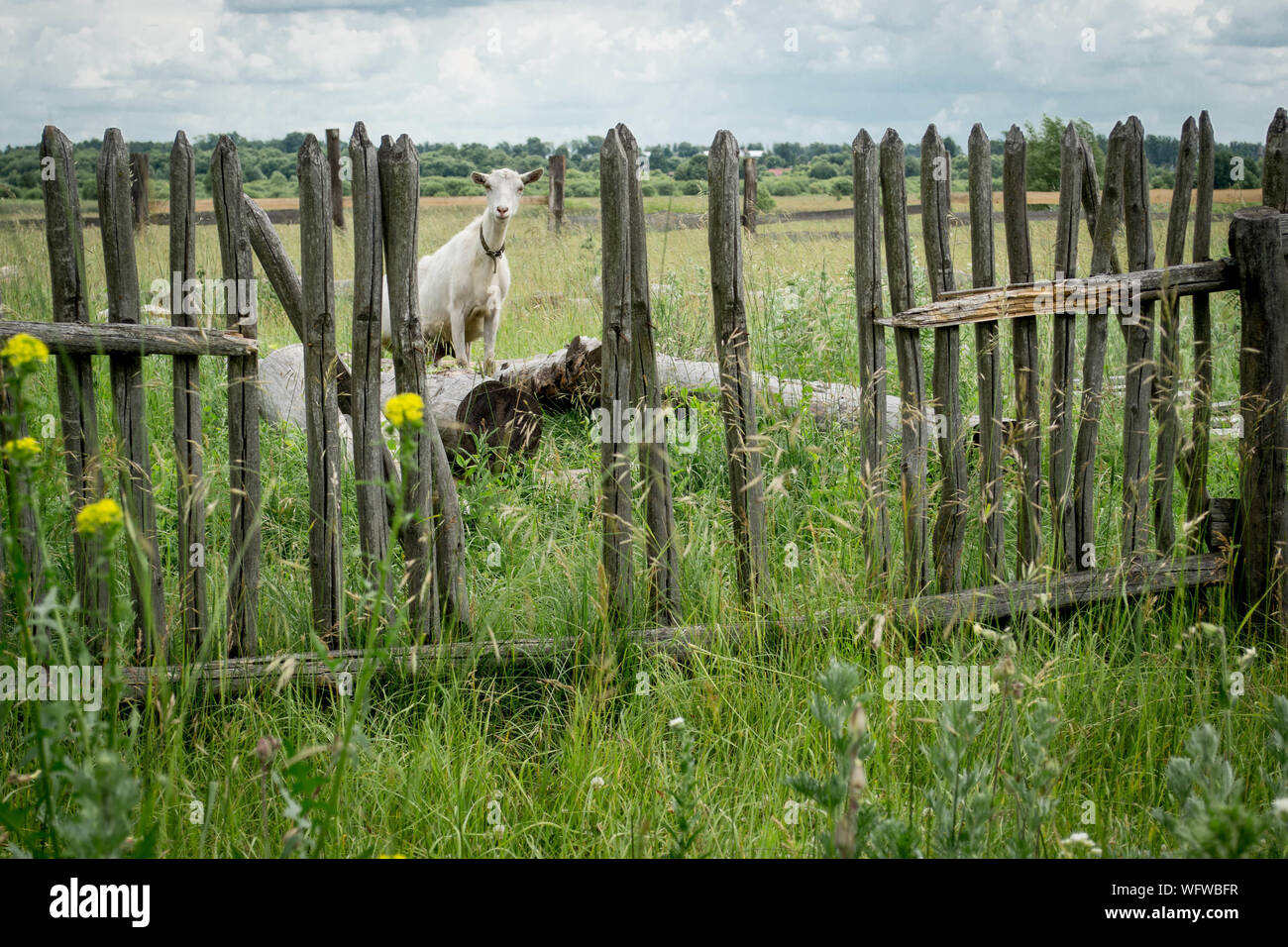 Bondari hi-res stock photography and images - Alamy
