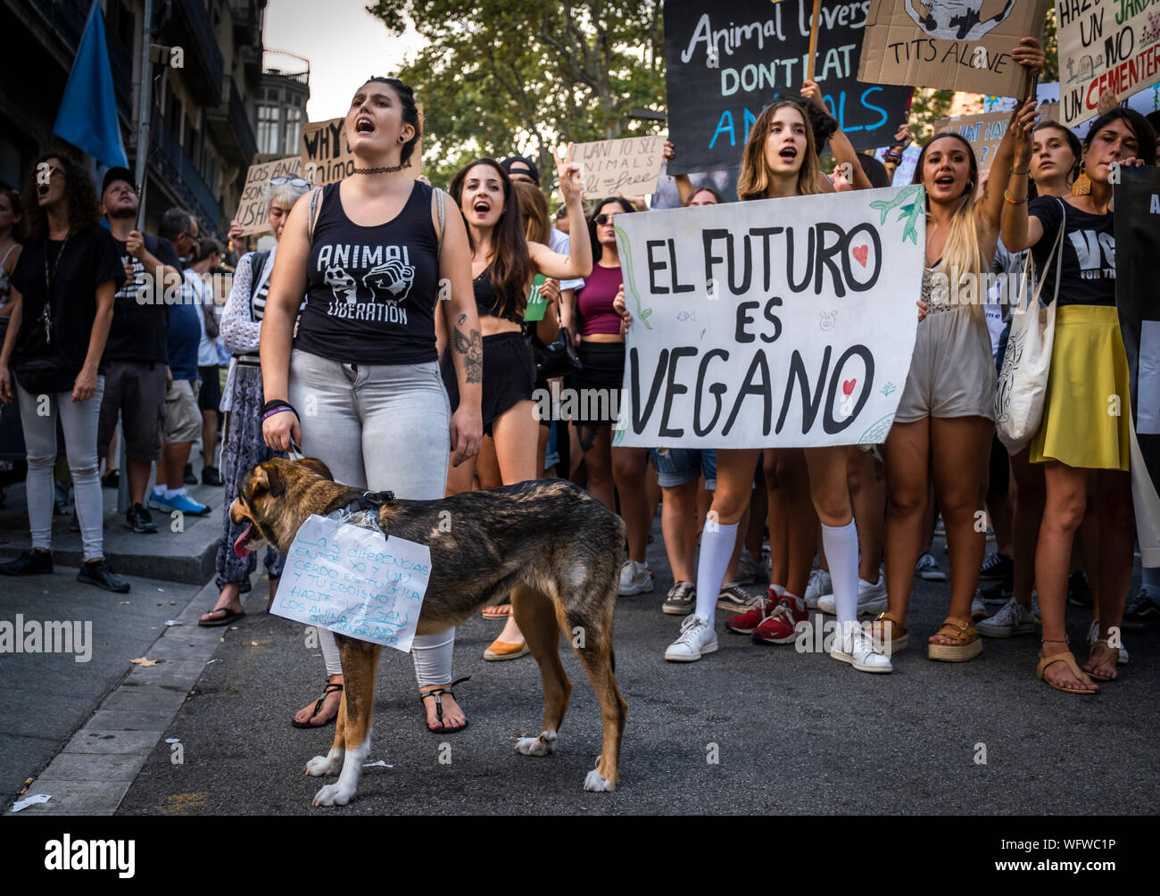 A dog with a placard in defence of the animals seen during the ...